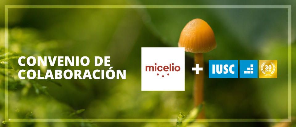 Inicio - IUSC Formación Superior